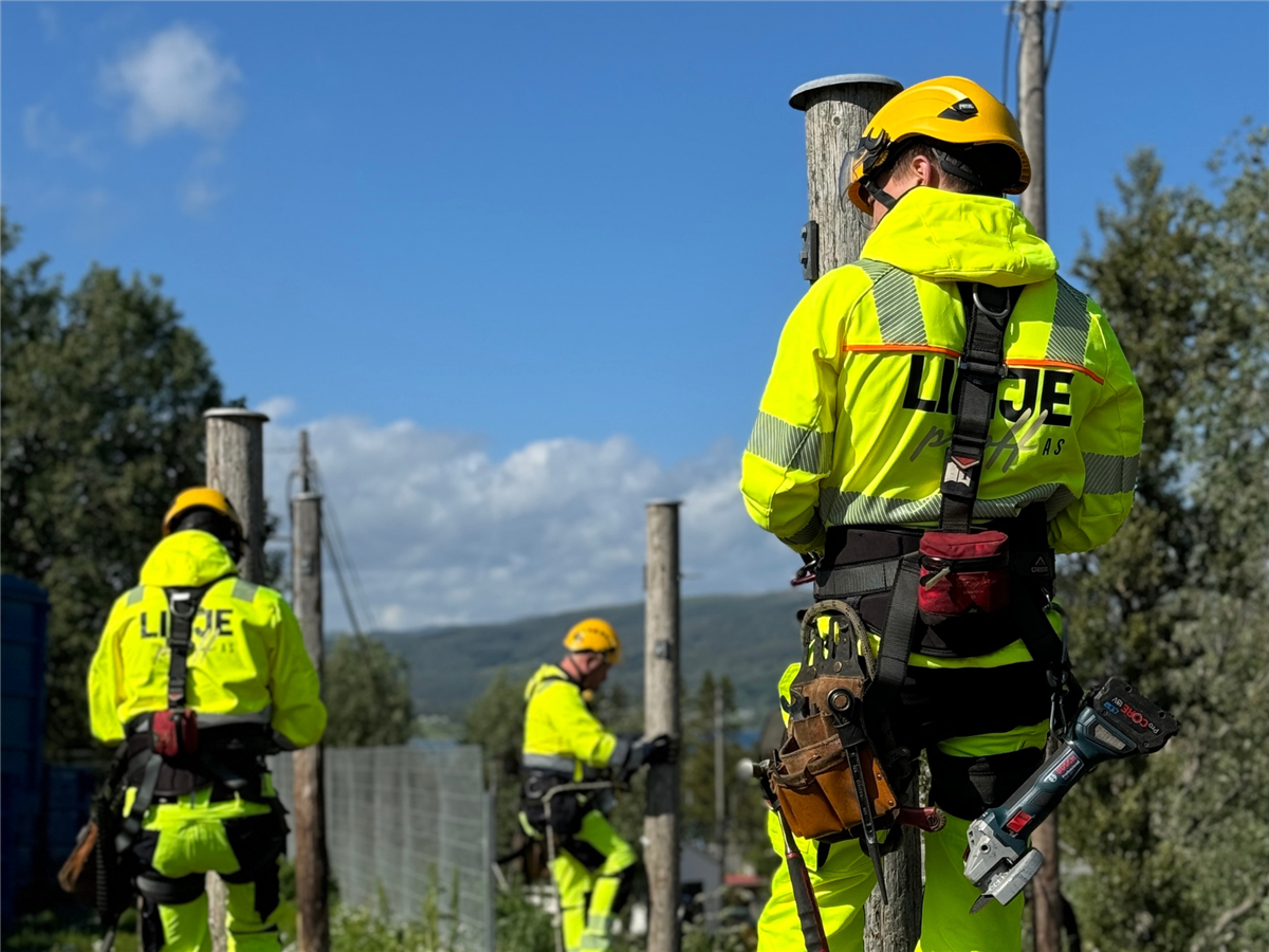Starter fjerning av gammelt kobbernett i Moss - Hovedportal